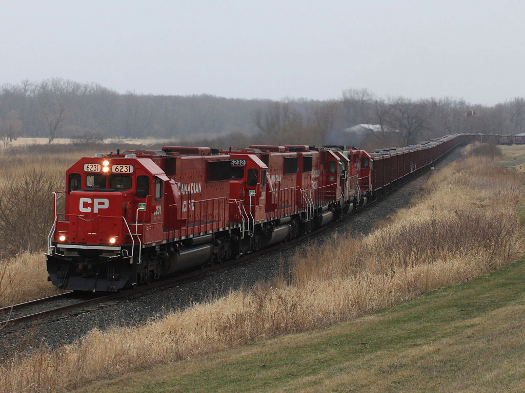 CP 6231